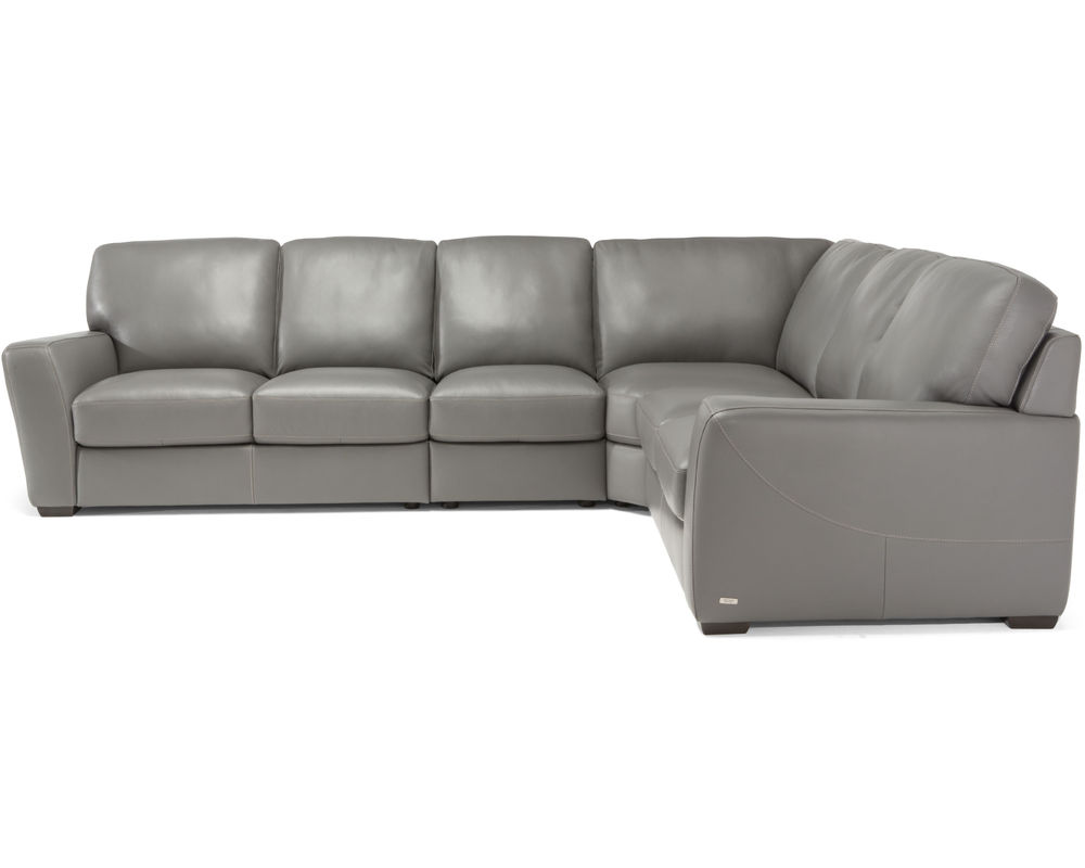 Peter C241 Leather Stationary Sectional | Sofas and Sectionals