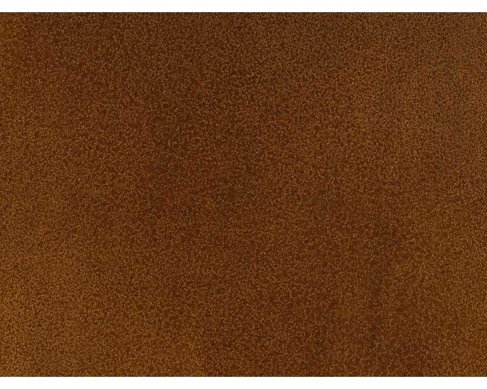Maya Leather Wing Club Chair (Brown) In stock | Sofas and Sectionals